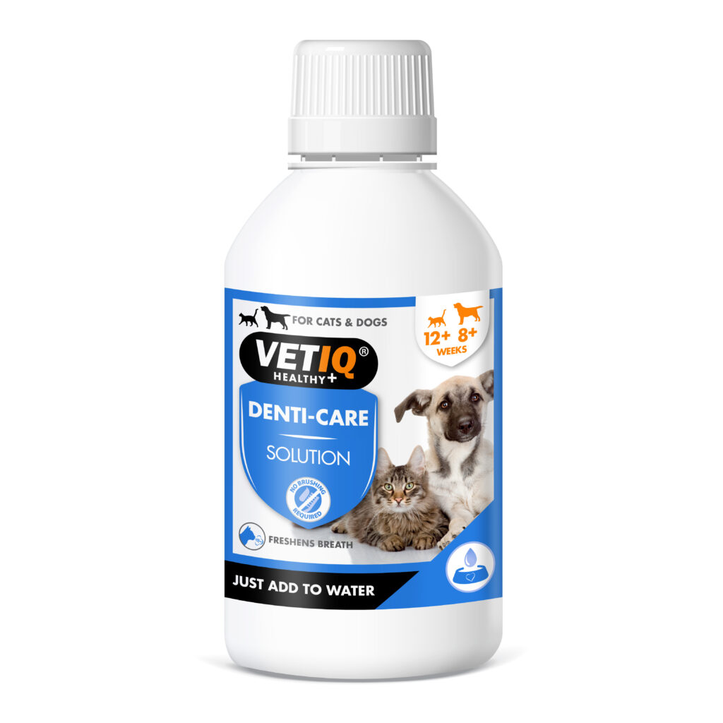 Cats & Kittens - VETIQ Healthy+
