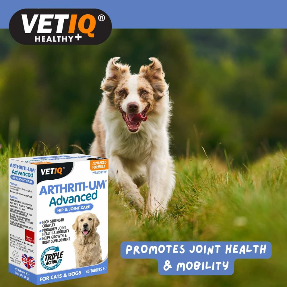 VETIQ® Arthriti-UM Advanced Tablets - VETIQ Healthy+
