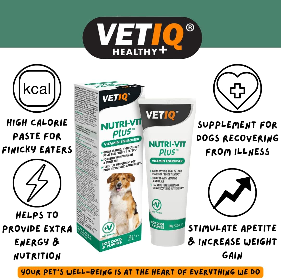 VETIQ® Nutri Vit Plus For Dogs - VETIQ Healthy+