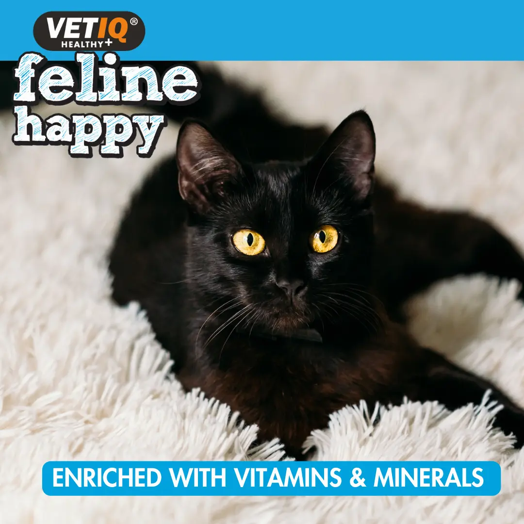 Feline Happy Chicken - VETIQ Healthy+